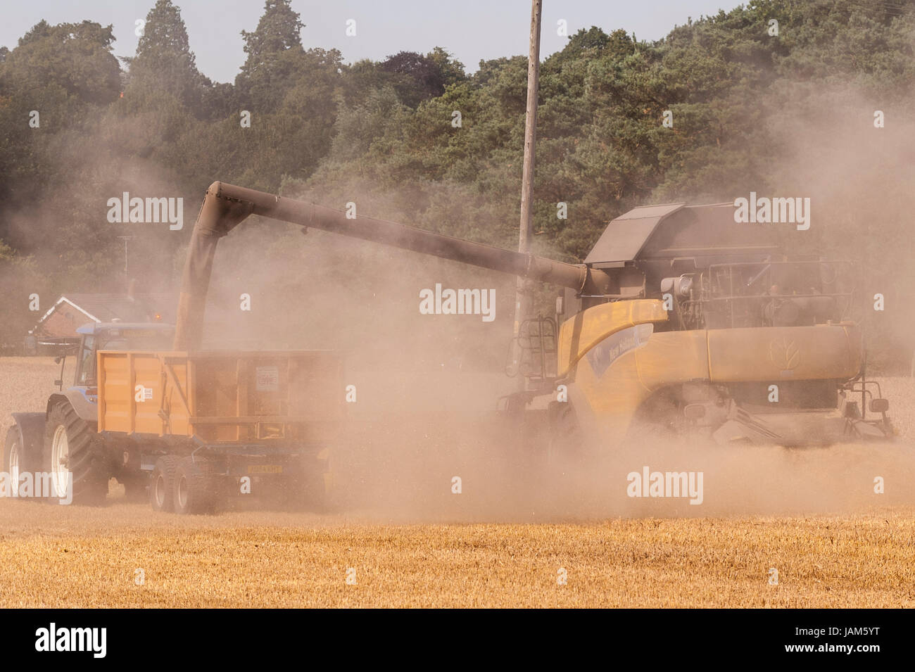 New holland combine harvester emptying corn into a trailer hi-res stock ...