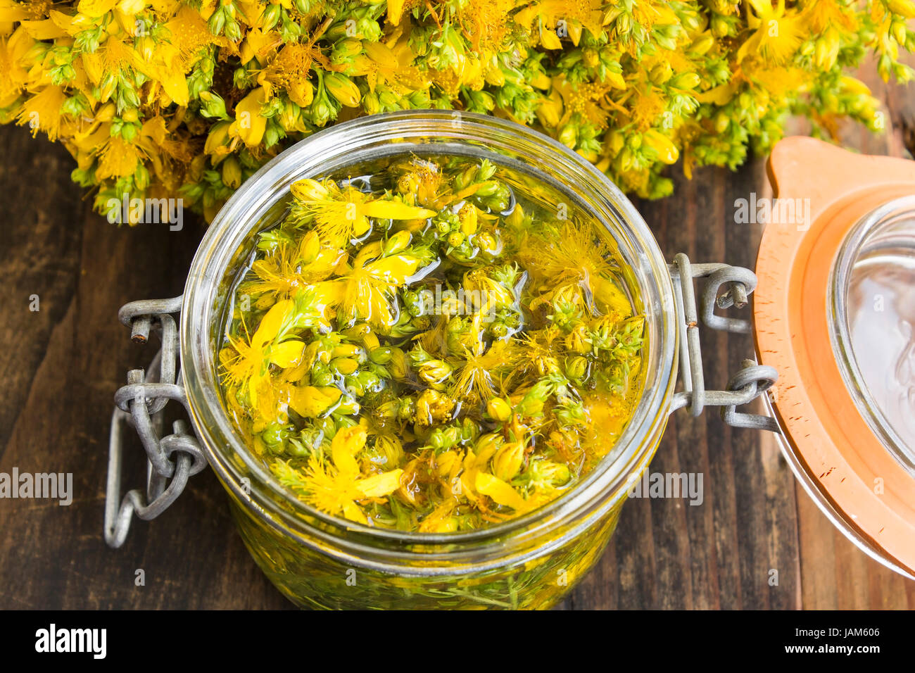 Hypericum perforatum oil hi-res stock photography and images - Alamy