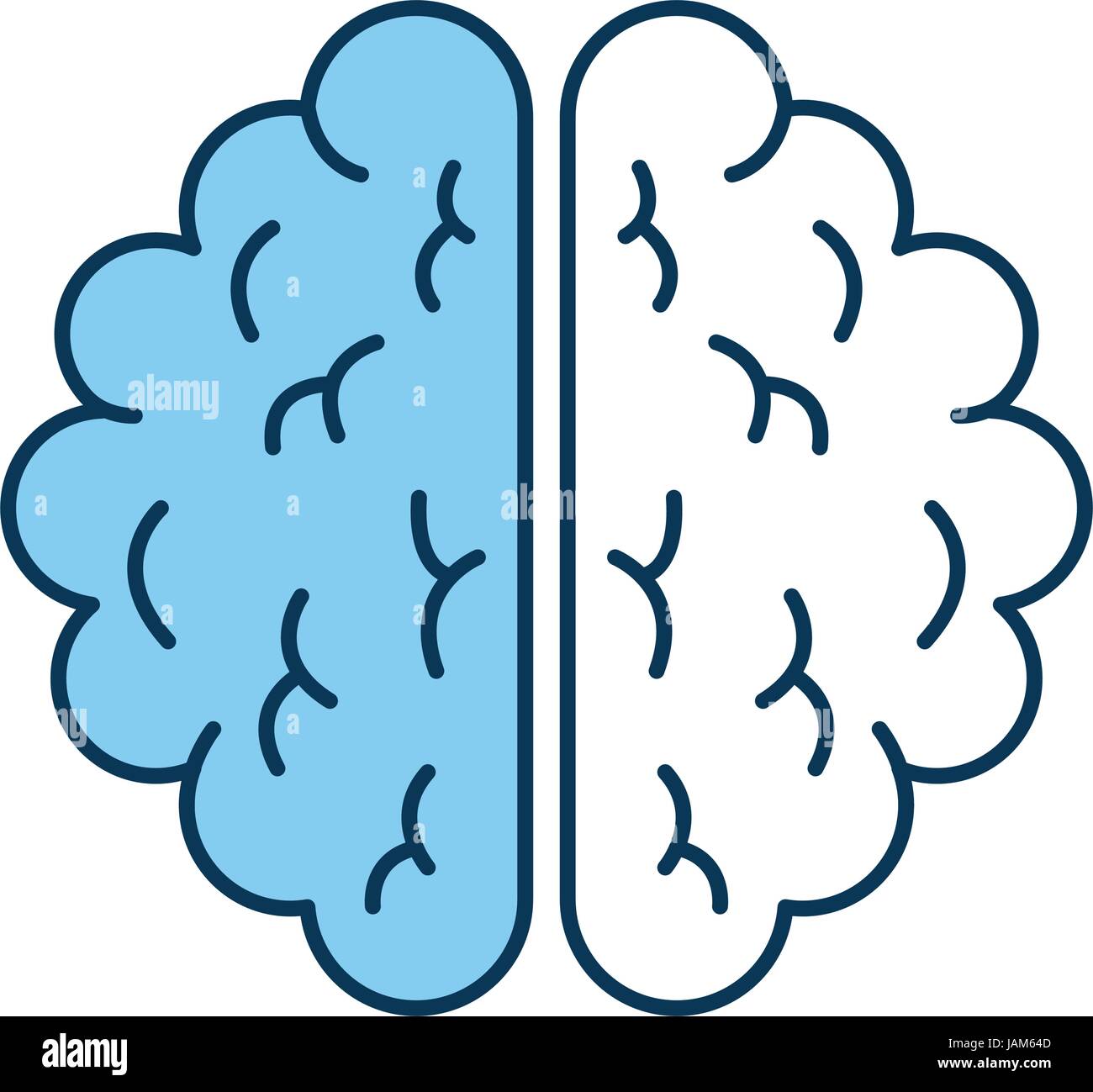 brain organ human icon Stock Vector Image & Art - Alamy