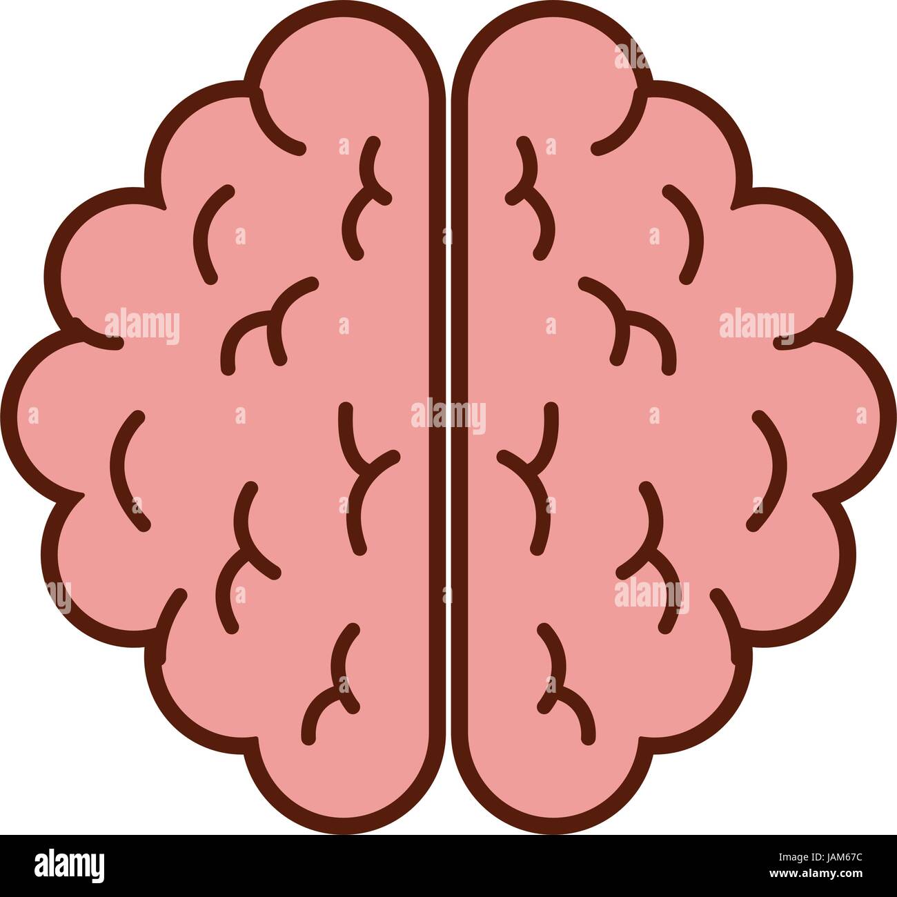 brain organ human icon Stock Vector Image & Art - Alamy