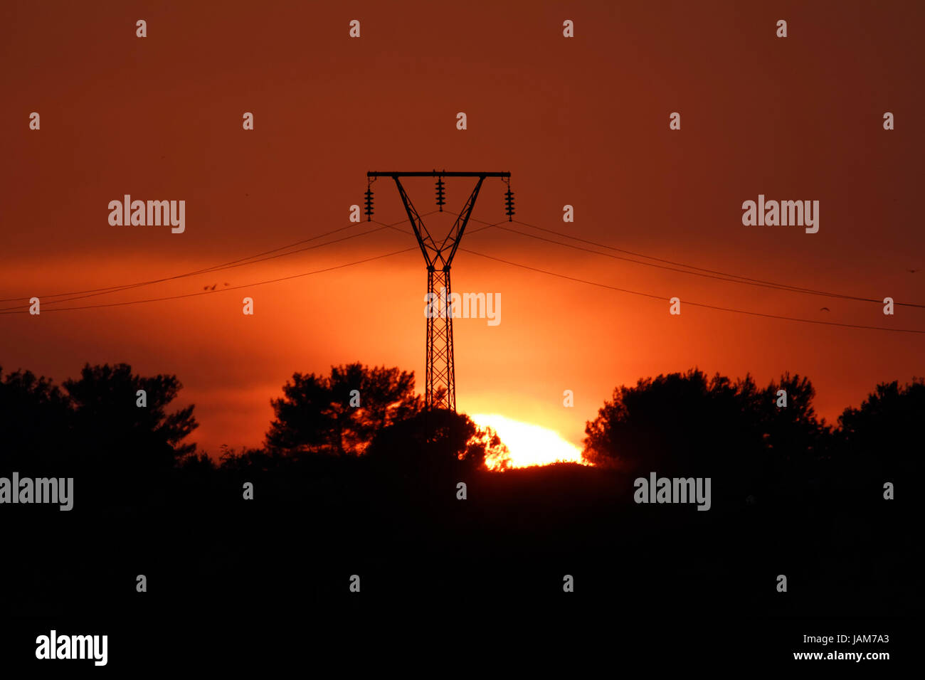 Utility pole and power lines at sunset Stock Photo - Alamy