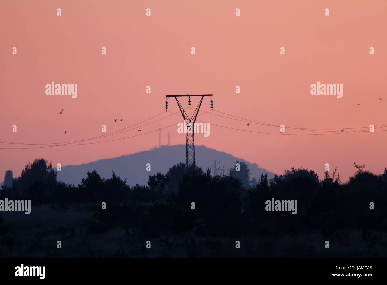 Utility pole and power lines at sunset Stock Photo - Alamy