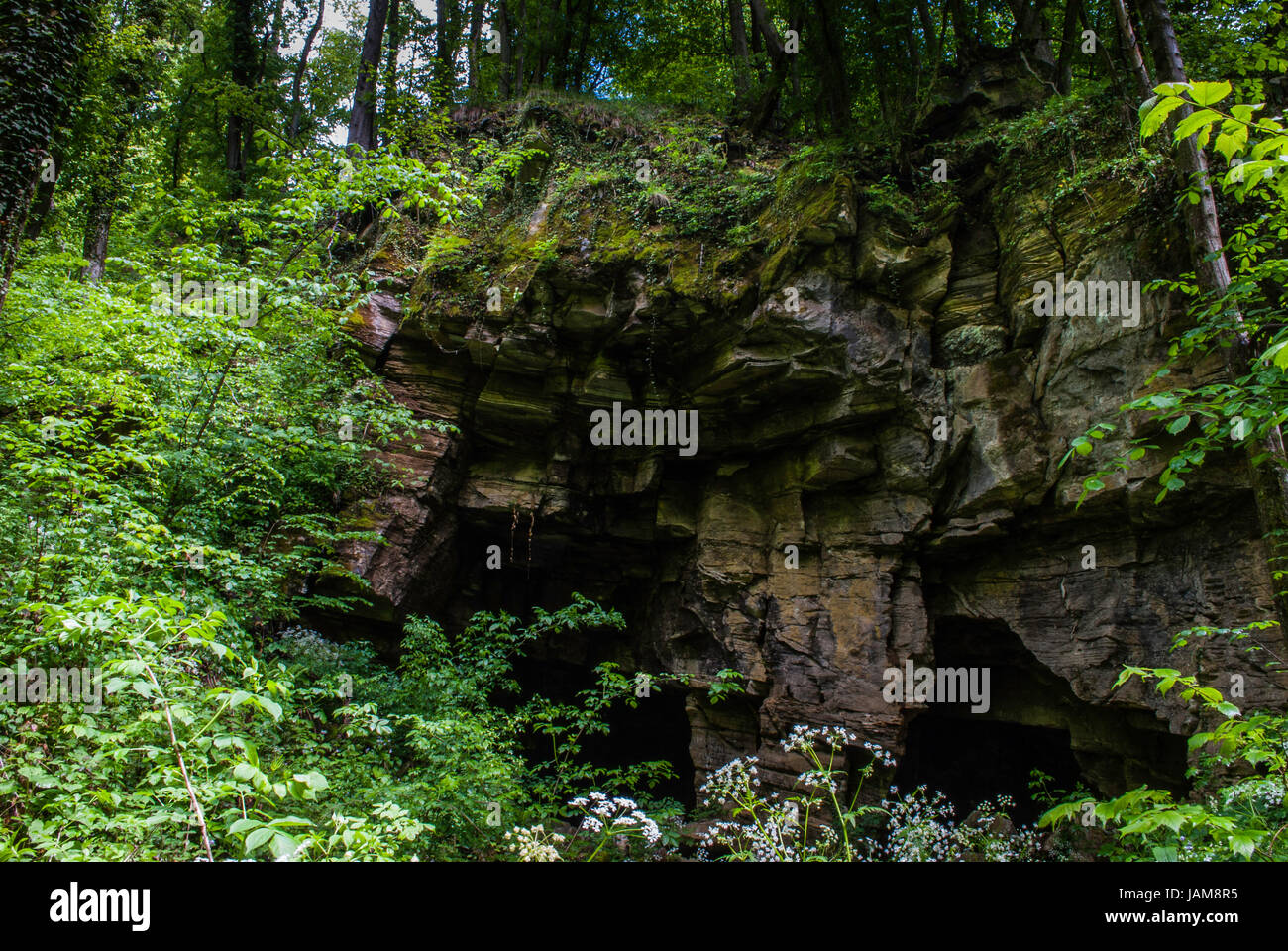 Roman marble quarry hi-res stock photography and images - Alamy