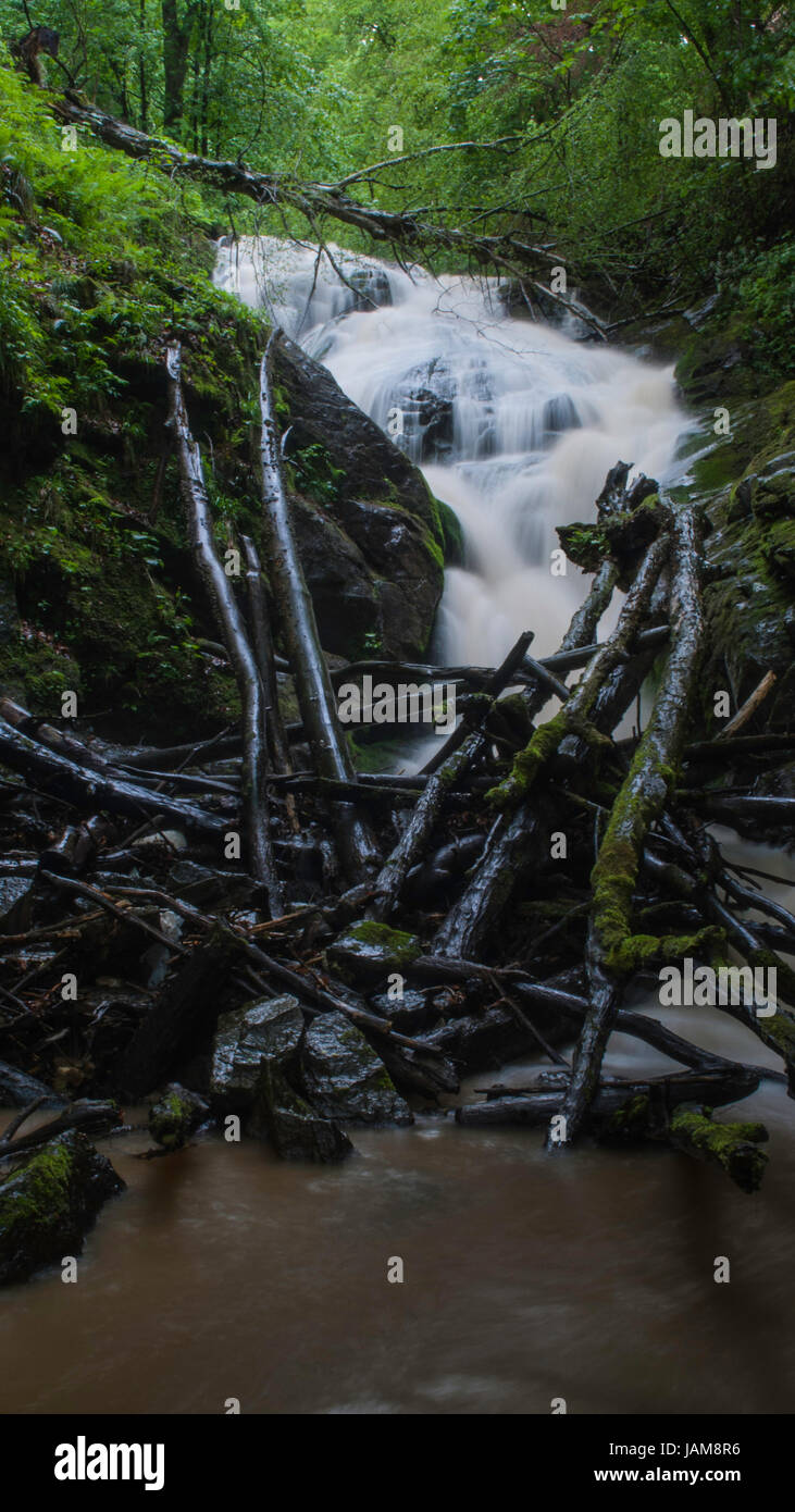 waterfall in the forest Stock Photo - Alamy