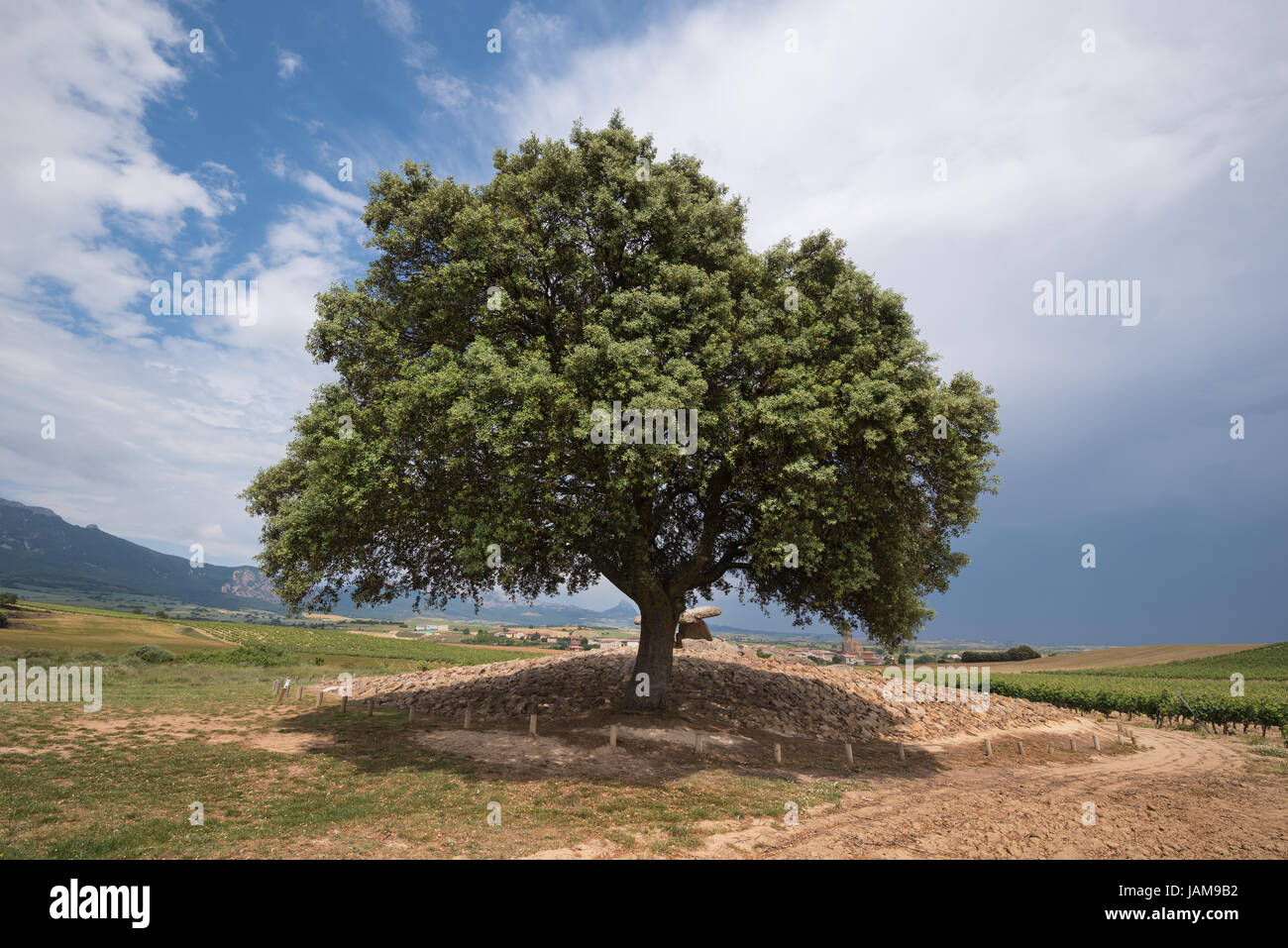 Basque prehistoric heritage hi-res stock photography and images - Alamy