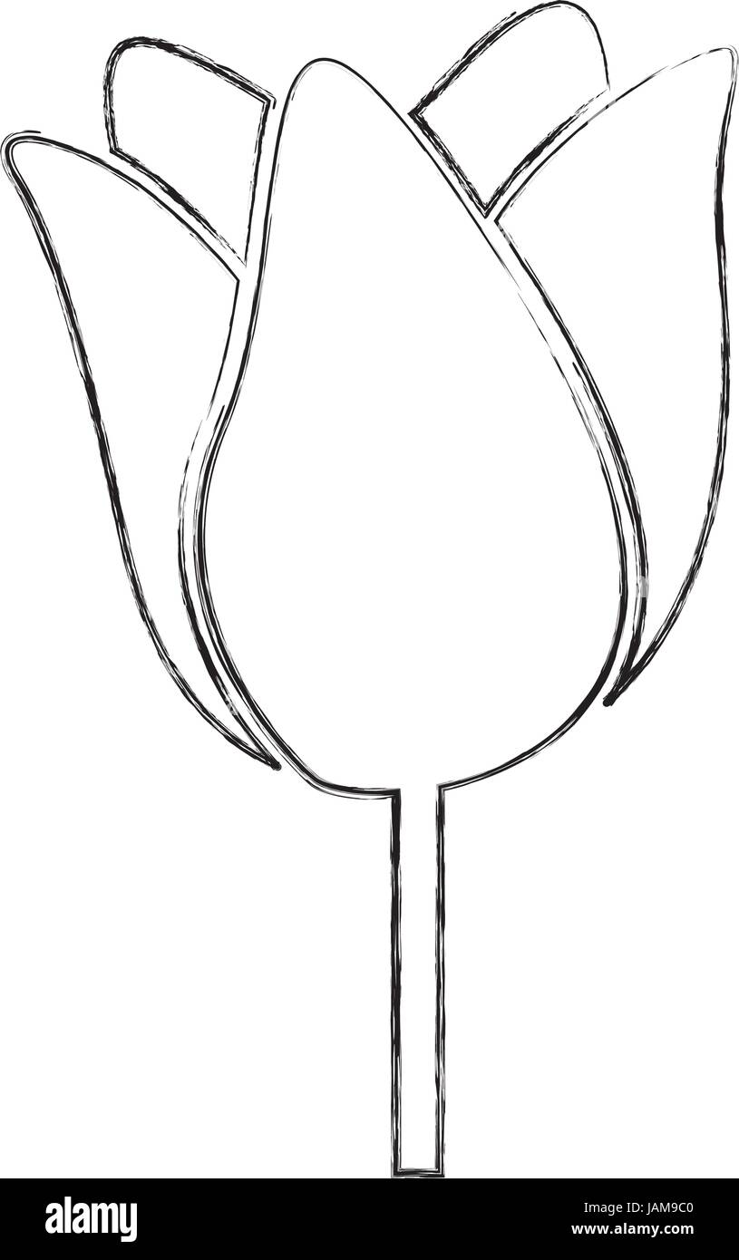 cute flower rose icon Stock Vector Image & Art - Alamy