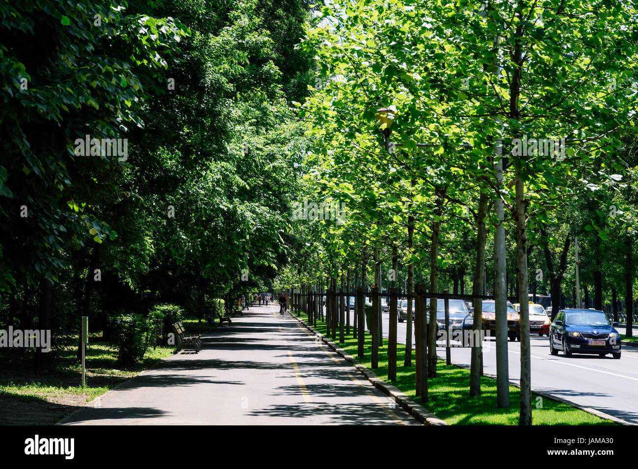 Kiseleff park hi-res stock photography and images - Alamy