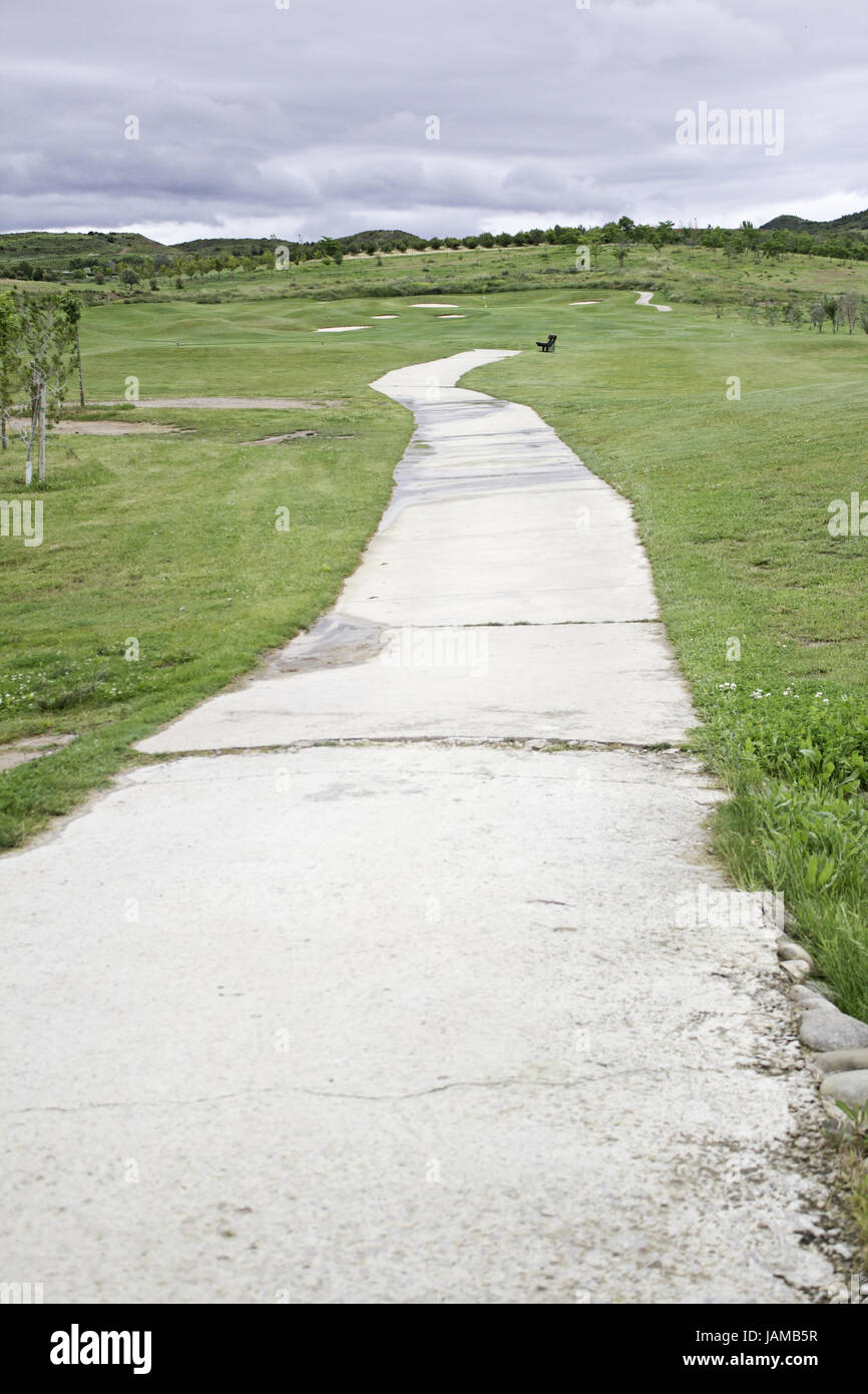 Stone Road in field with grass and vegetation, nature Stock Photo - Alamy