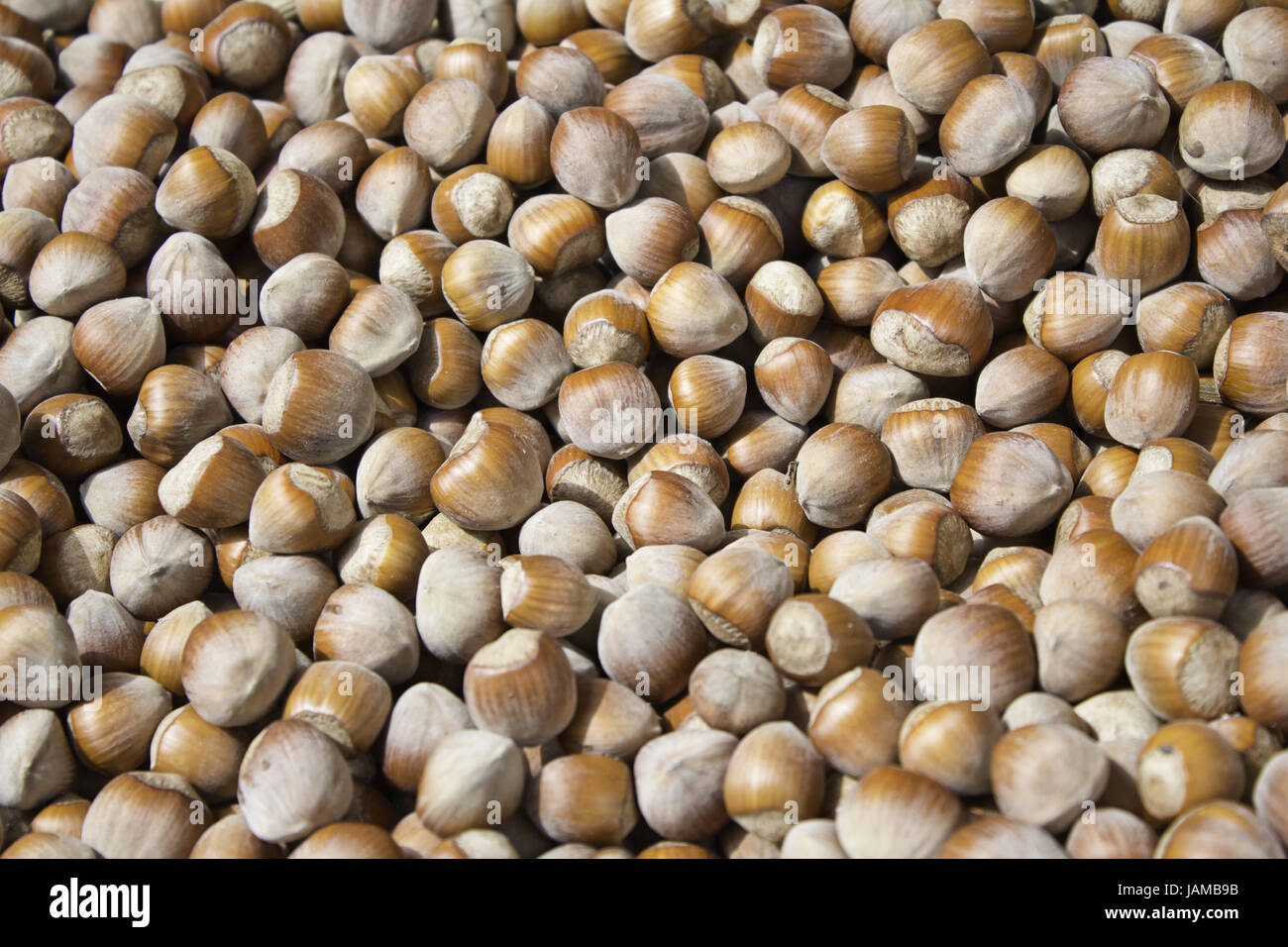Hazelnuts in shell in feeding market, nuts Stock Photo - Alamy