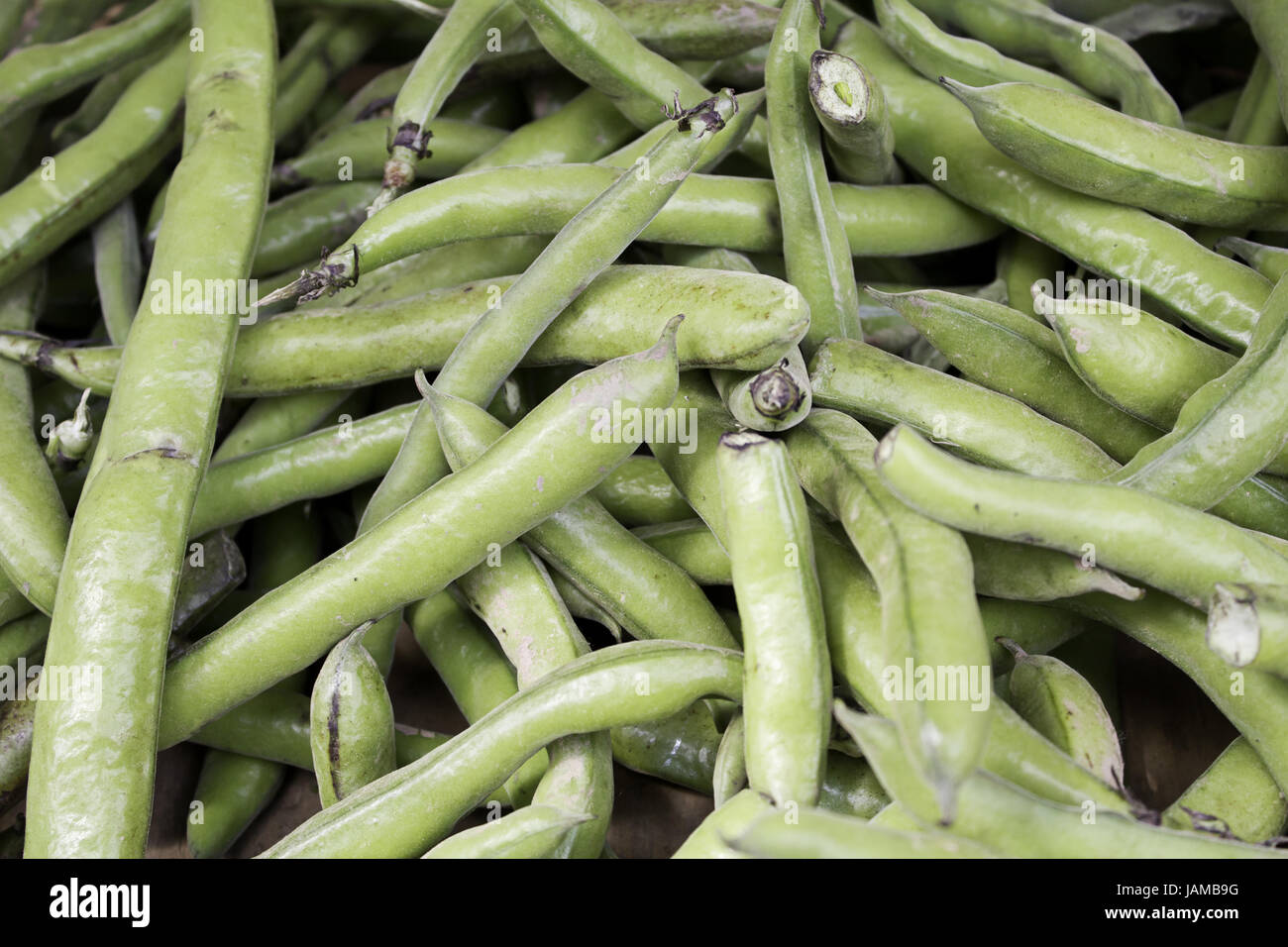 Green Beans with bright green skin food market, vegetables Stock Photo ...