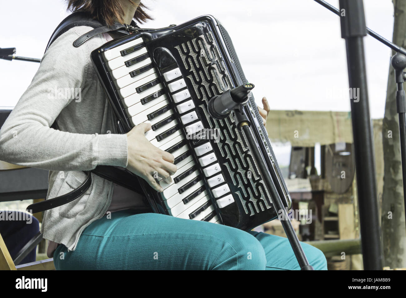 Musician playing accordion music concert, celebration Stock Photo - Alamy