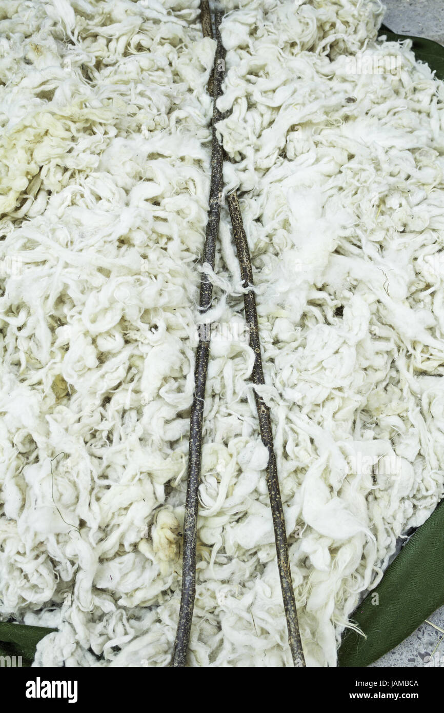 Curly sheep wool hi-res stock photography and images - Alamy