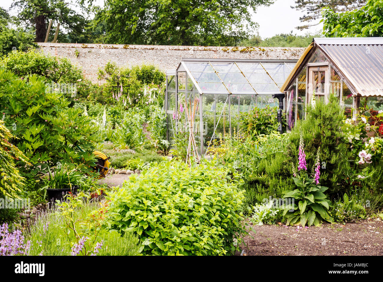 The delightful charm of the rustic walled garden at Wiveton Hall ...