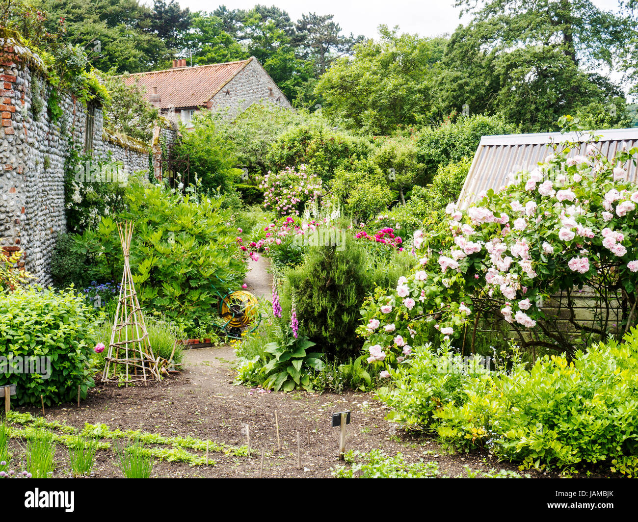 The delightful charm of the rustic walled garden at Wiveton Hall ...