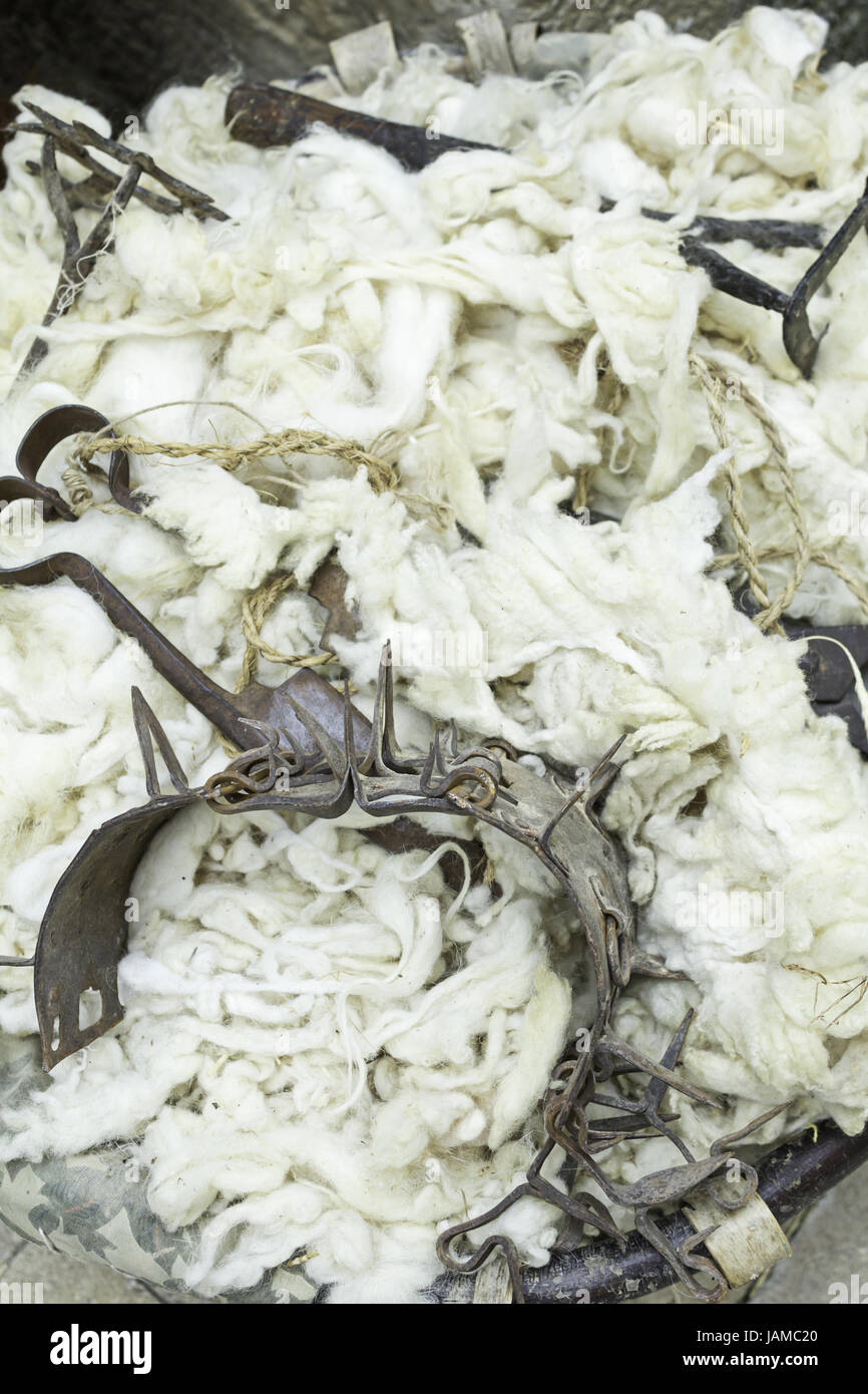 Cut wool pile hi-res stock photography and images - Alamy