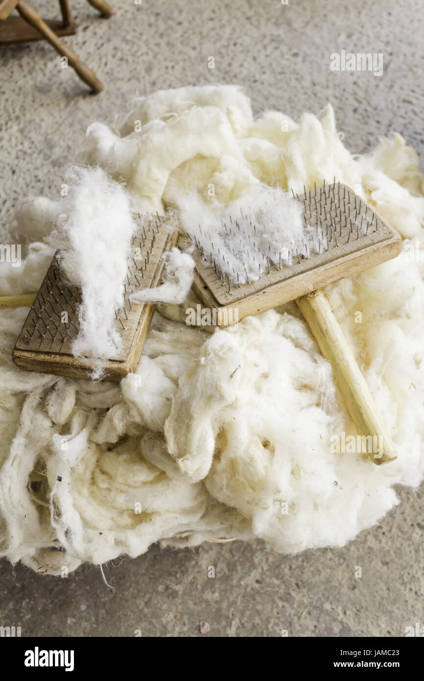 Woolly grey sheep hi-res stock photography and images - Alamy