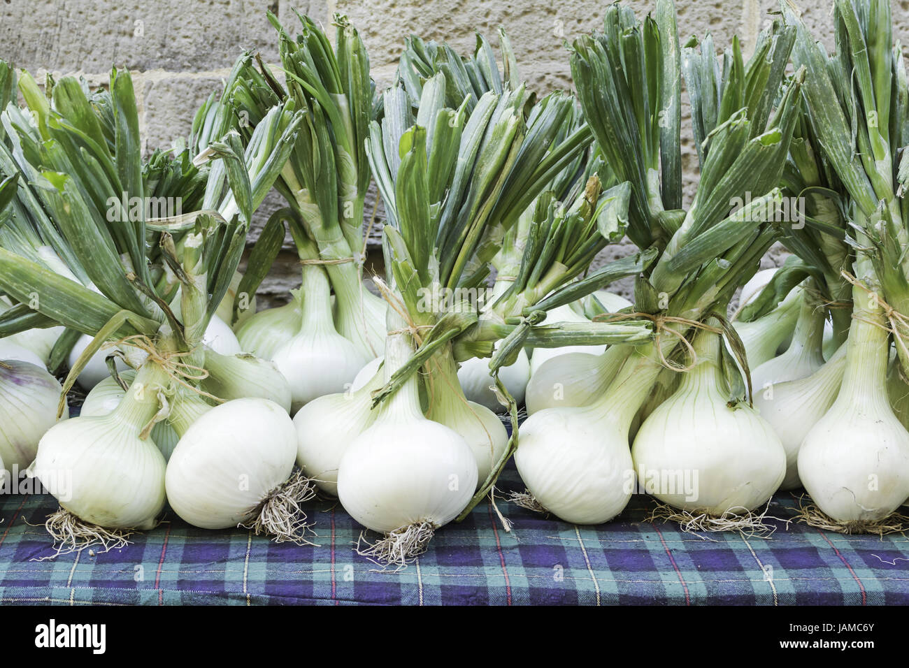 Large onions raw in food market, food Stock Photo - Alamy