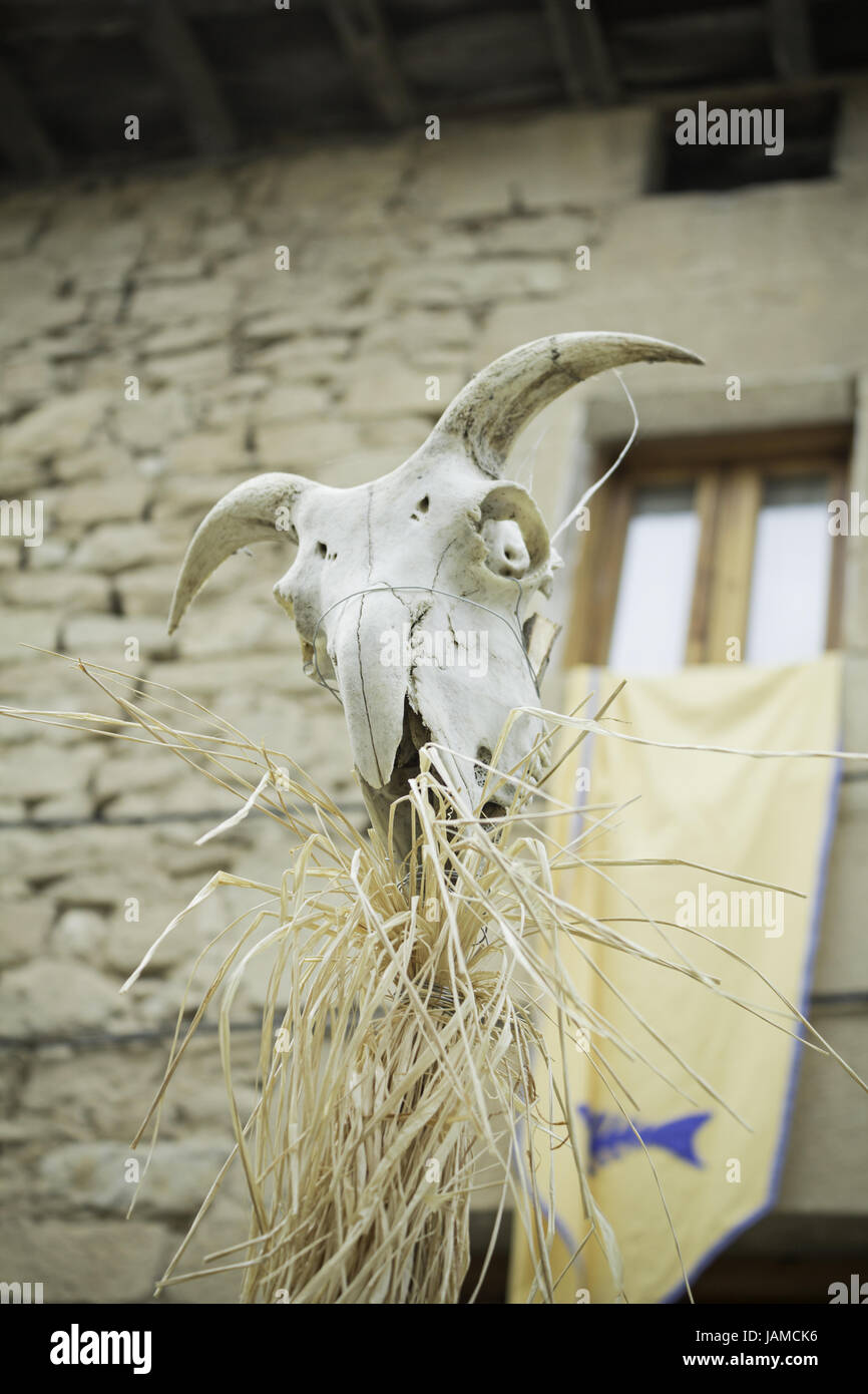 Diabolical of goat skull with horns, witchcraft and black magic Stock ...