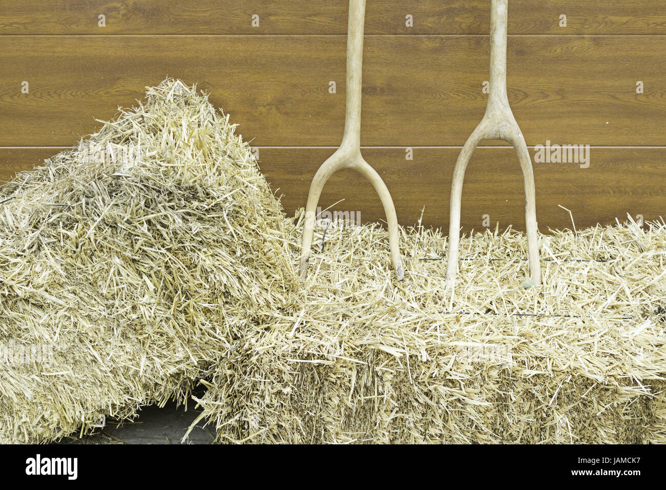 Tools and spikes wheat barn on farm and nature Stock Photo - Alamy