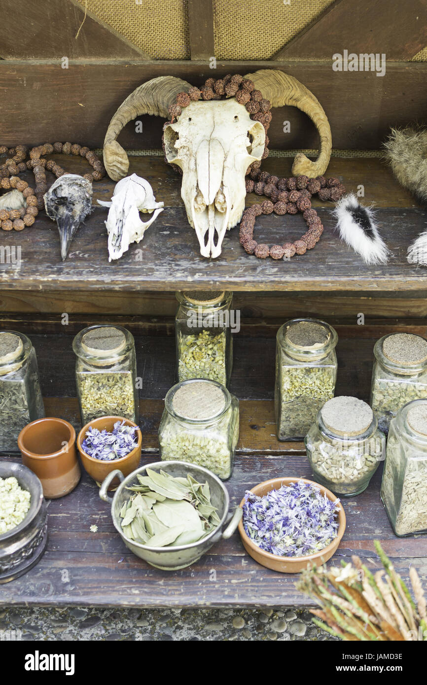 Herbal witch with healing herbs and goat corpse Stock Photo - Alamy