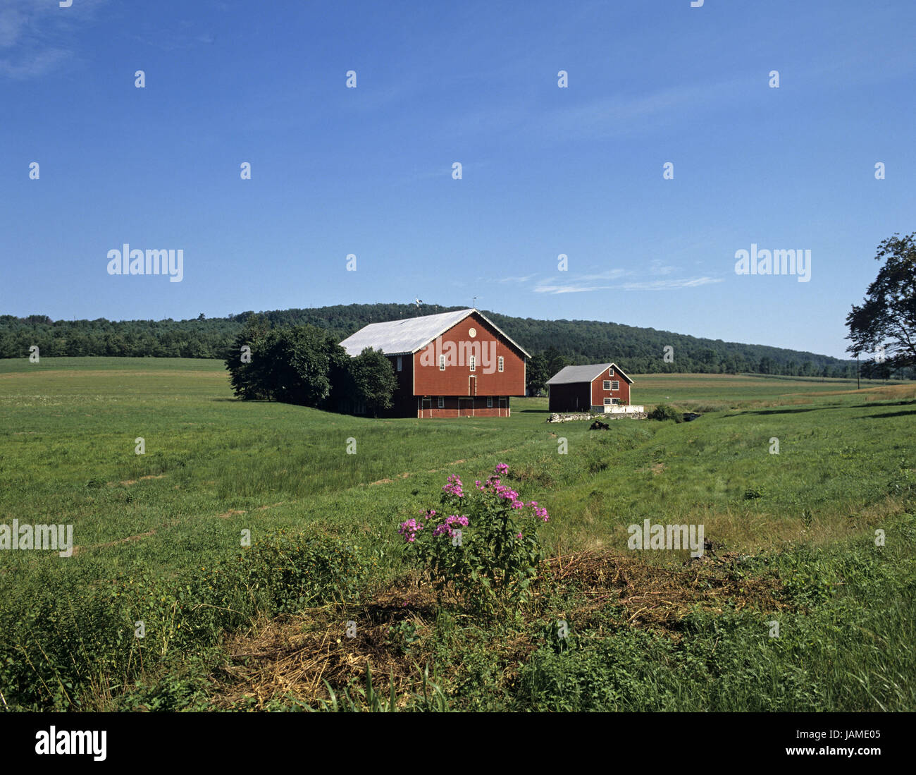 Model new england farm hi-res stock photography and images - Alamy