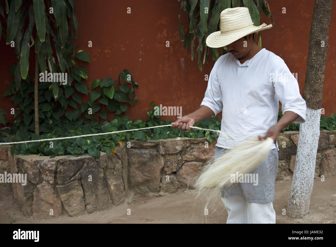 Mexico,Yucatan,Sotuta de Peon,Hacienda,man,Maya,sisal,processing Stock ...
