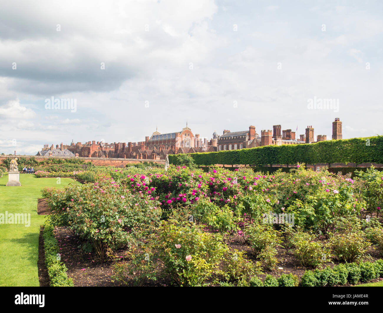 rose garden at Hampton Court Stock Photo - Alamy