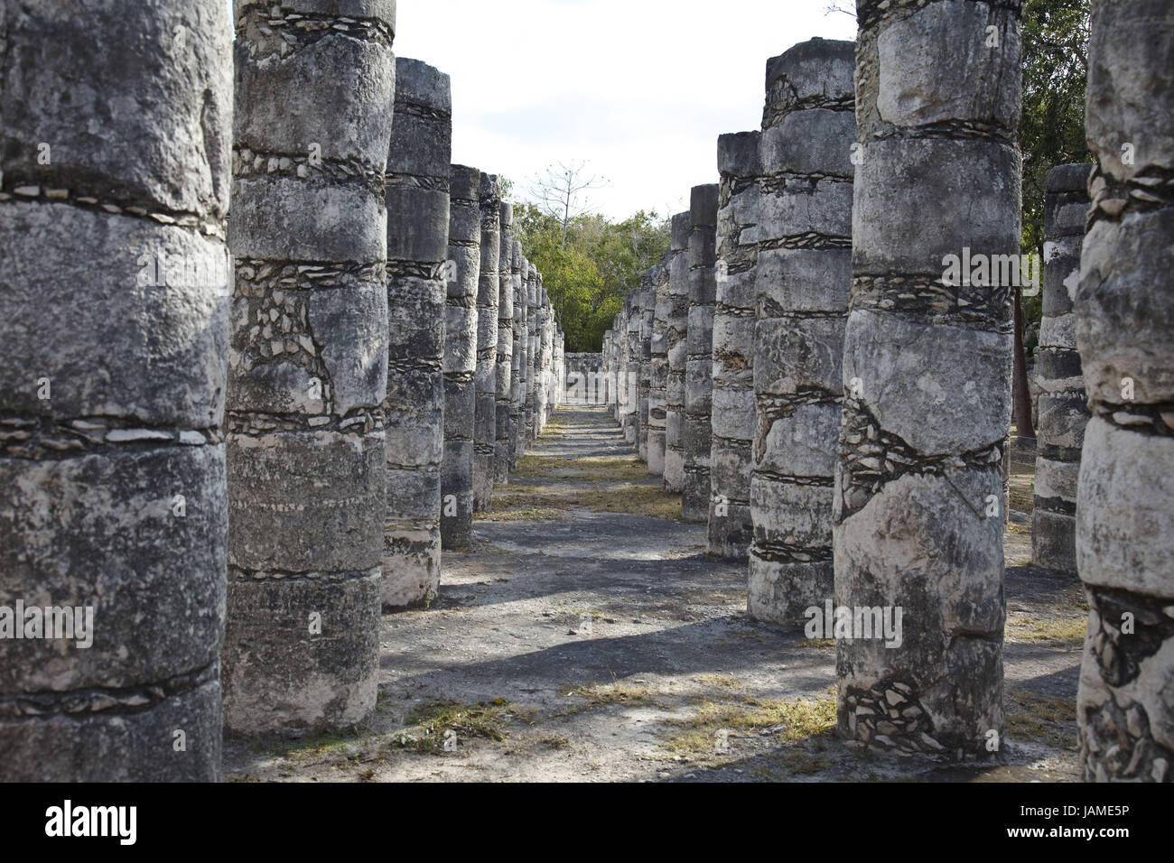Group the thousand of pillars hi-res stock photography and images - Alamy
