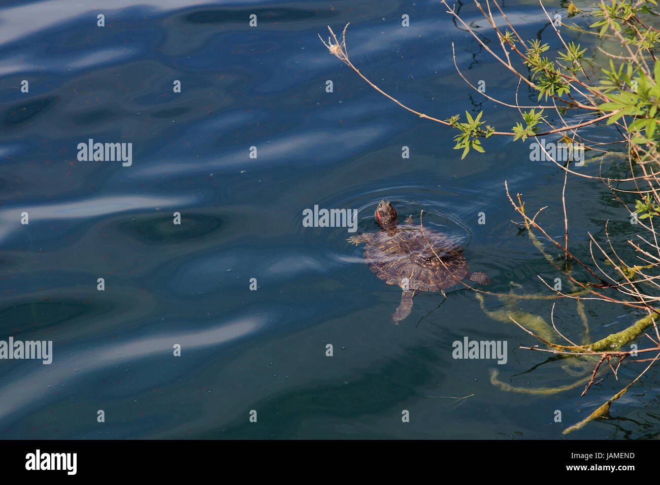 Turtle mountain island hi-res stock photography and images - Alamy