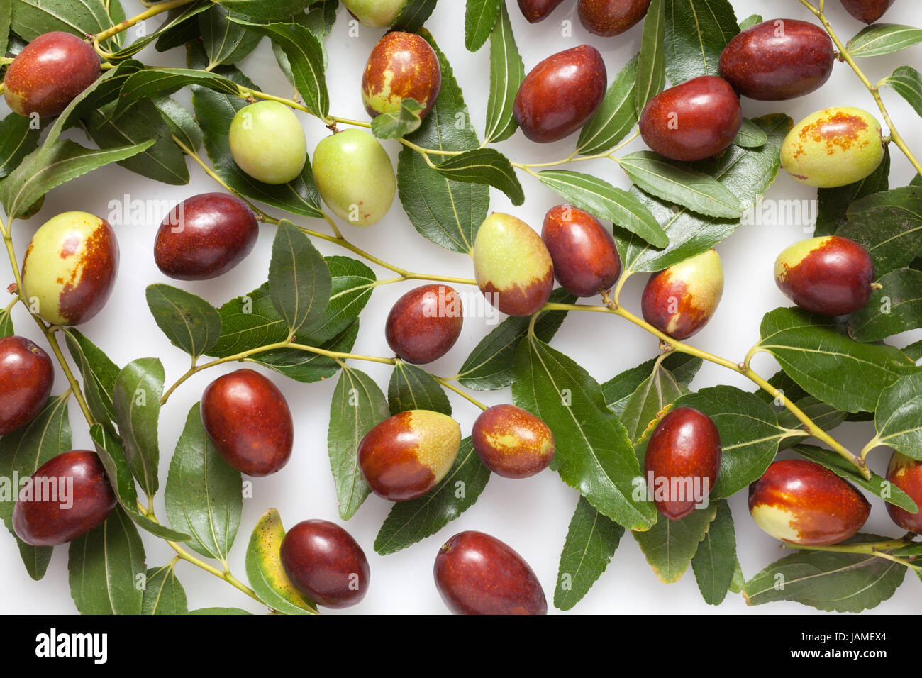 Fresh jujube fruits and leaves Stock Photo - Alamy