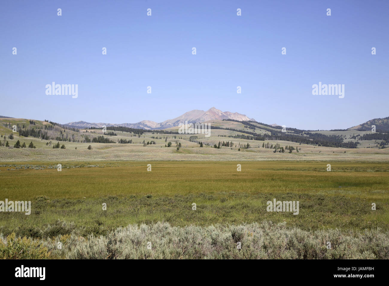 Yellowstone nationwide park hi-res stock photography and images - Alamy