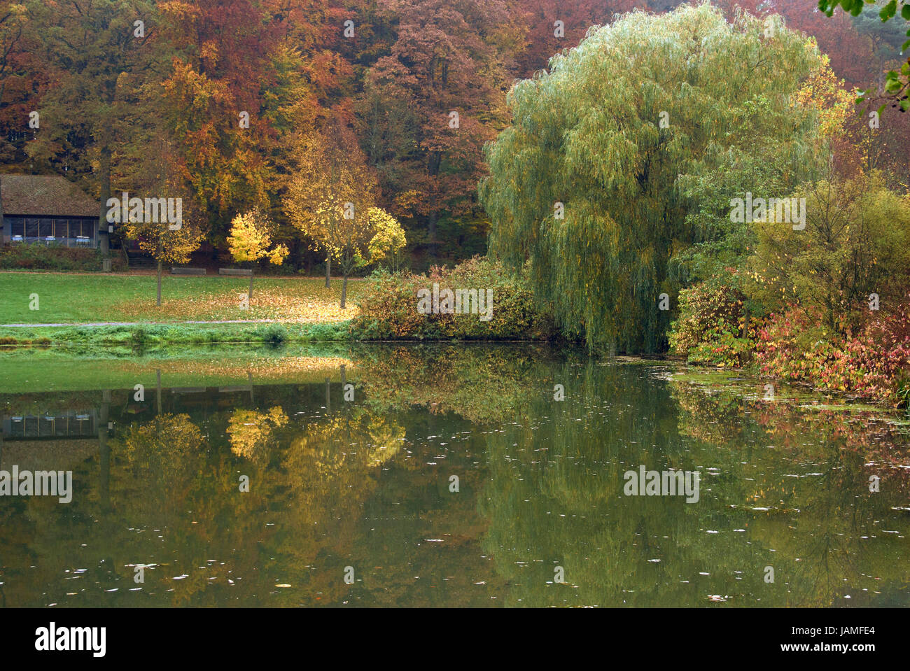 autumn scenery including a small lake in Southern Germany Stock Photo ...