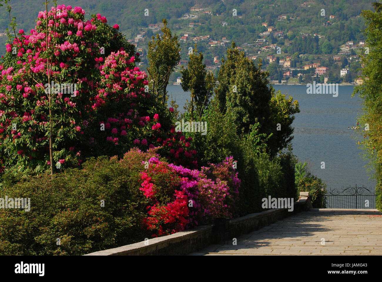 Italy,Piedmont,Lago Maggiore,tropical vegetation Stock Photo - Alamy