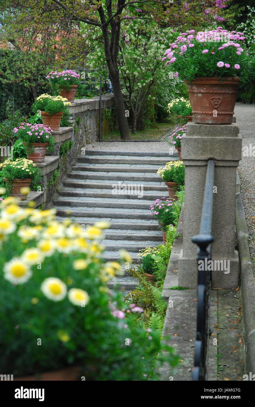 Italy,Piedmont,Isola Bella,stone stairs,floral decoration Stock Photo ...