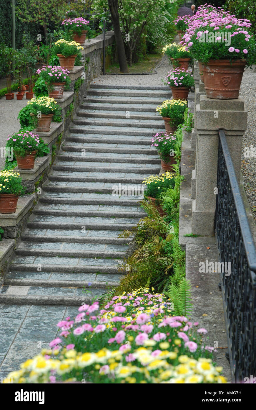 Italy,Piedmont,Isola Bella,stone stairs,floral decoration Stock Photo ...
