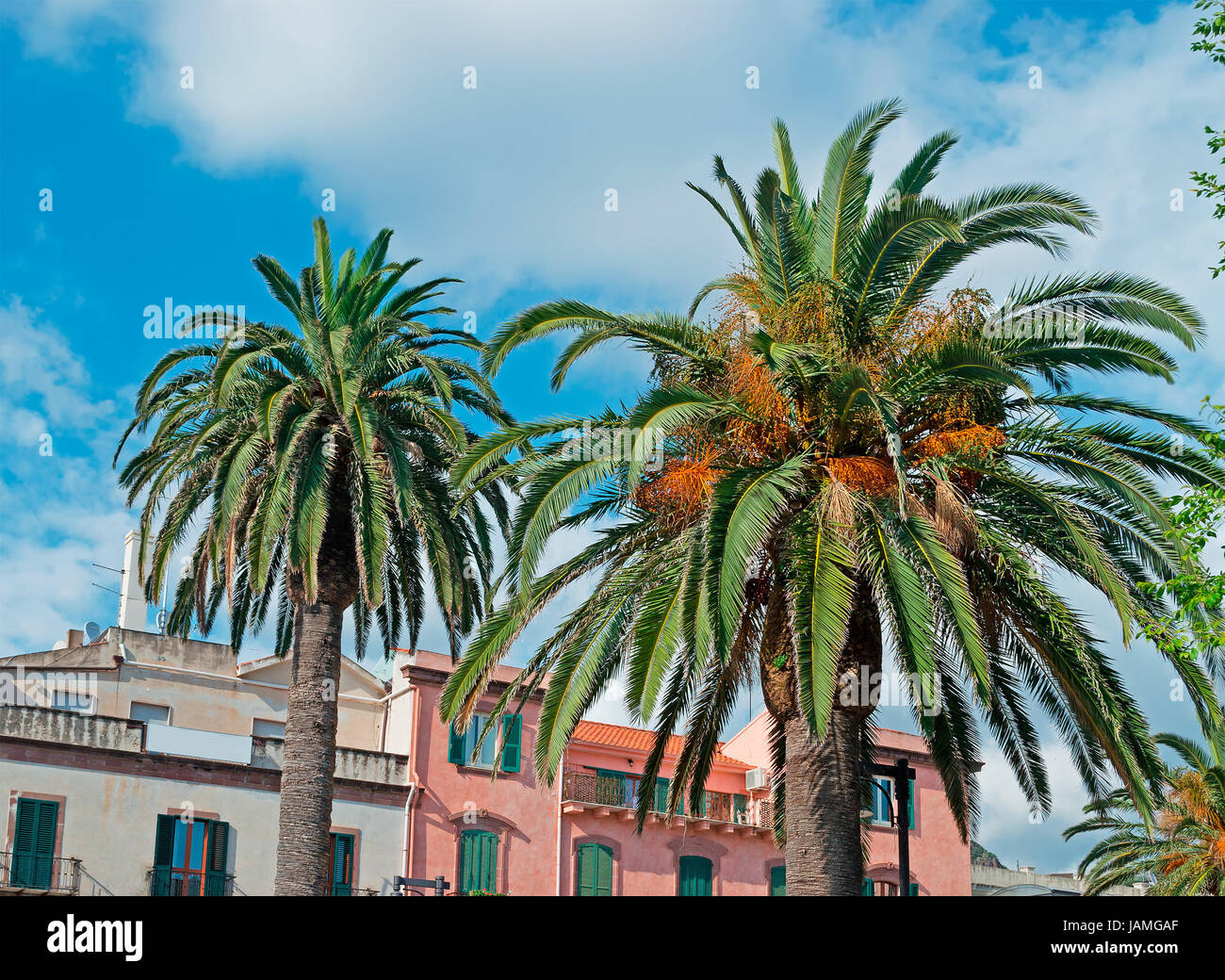 palm trees in Bosa main square, Sardinia Stock Photo - Alamy