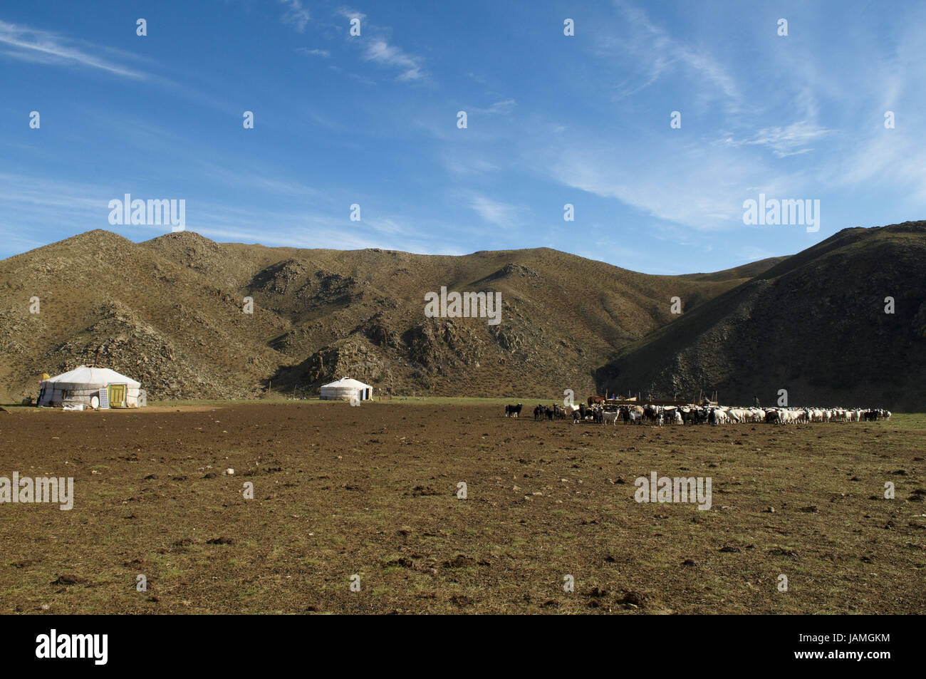 Arkhangai province, mongolia hi-res stock photography and images - Alamy
