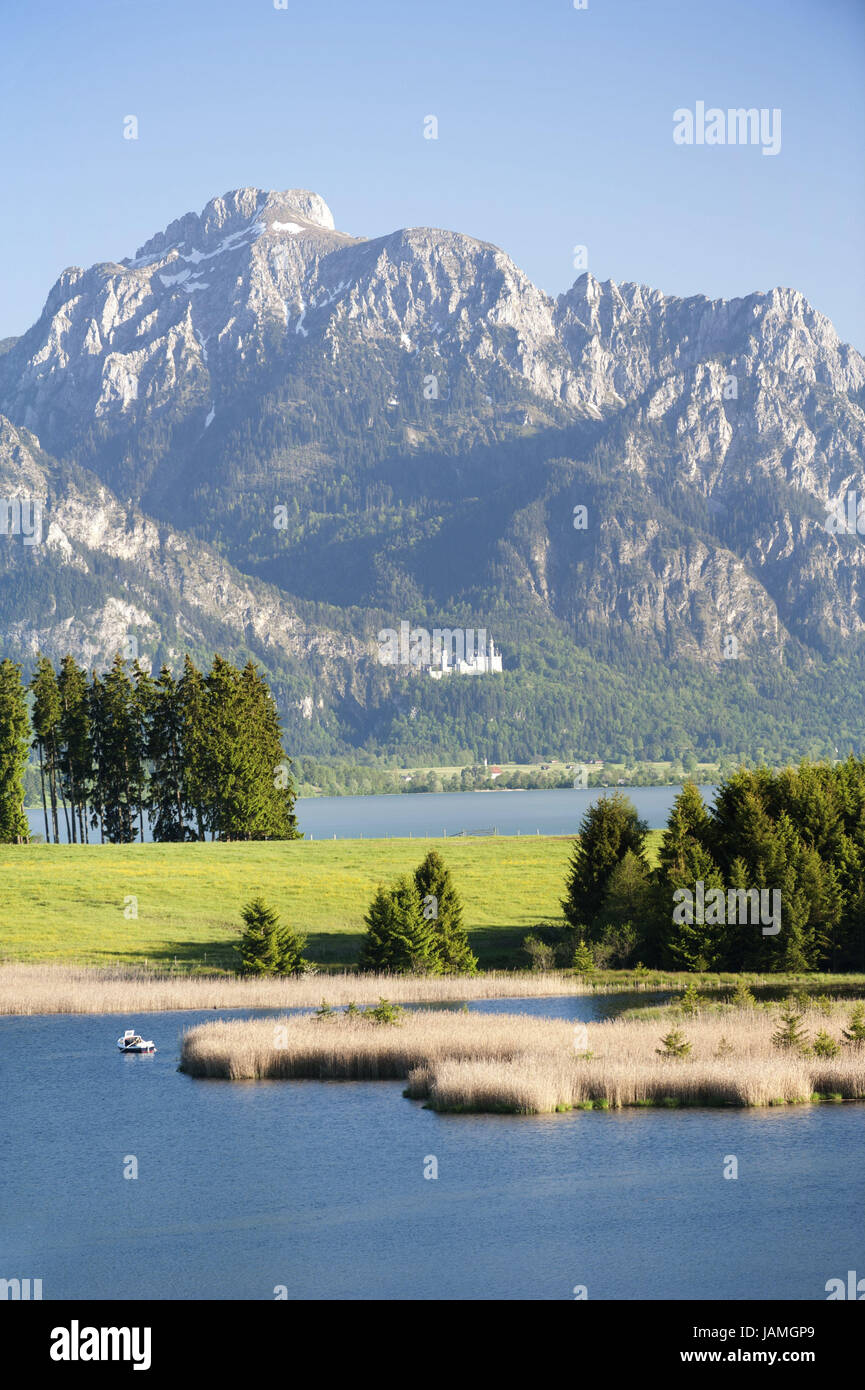 Germany,Bavaria,Allgäu in the Forggensee,Allgäu,Forggensee,lake,waters ...