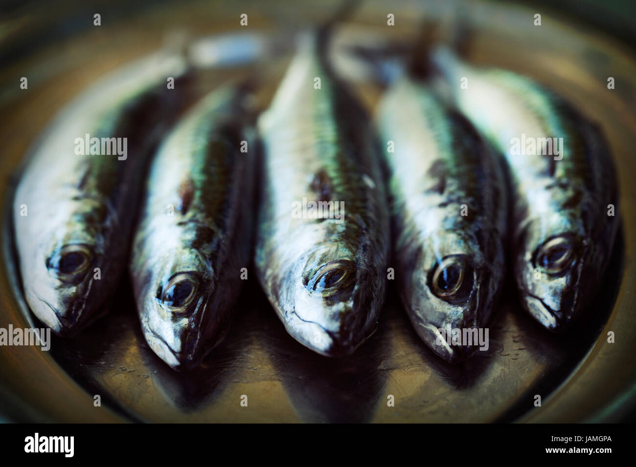 Raw mackerel fish. Sea food Stock Photo - Alamy