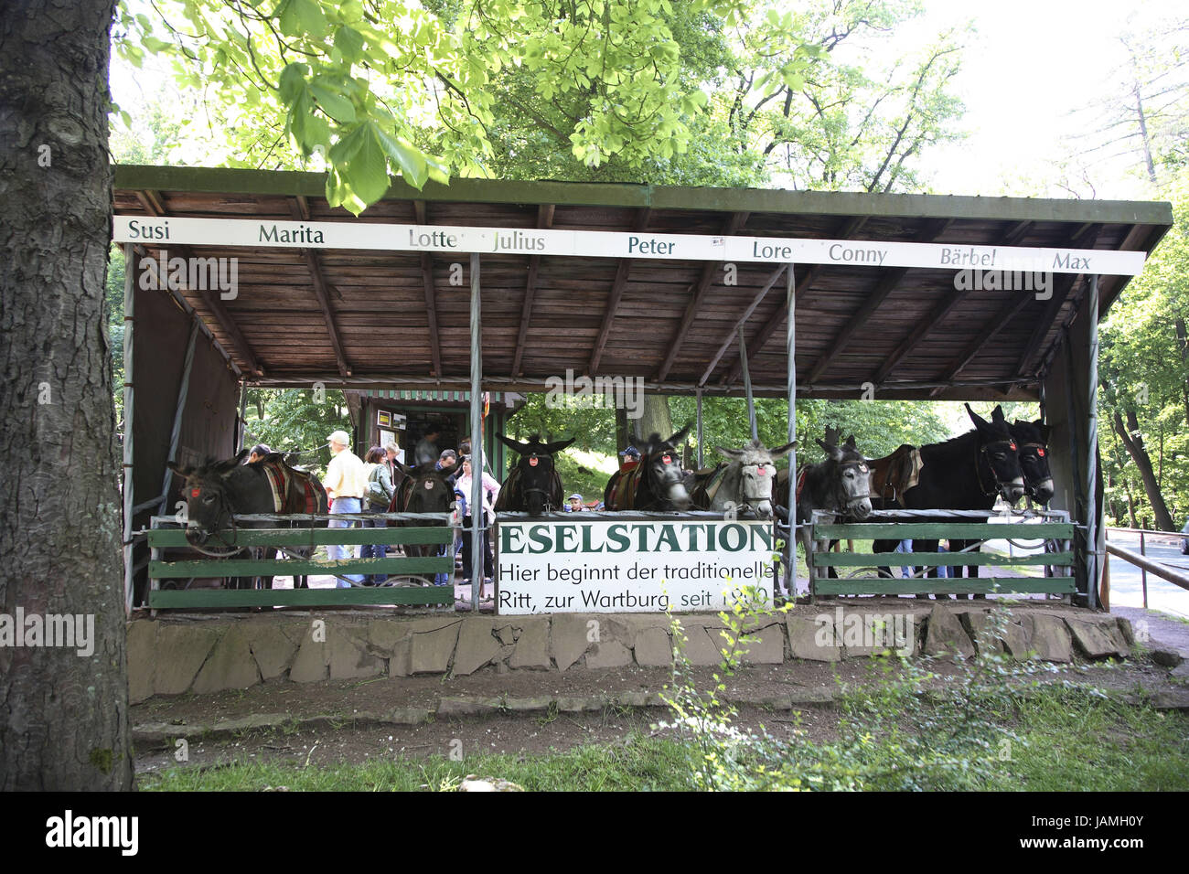 Germany,Thuringia,Eisenach,Wartburg mountain,donkey station Stock Photo ...
