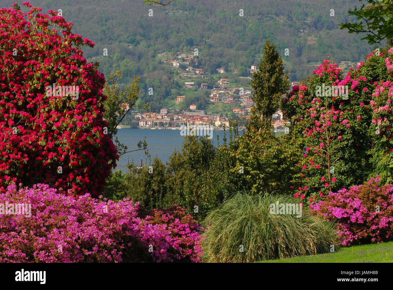 Italy,Piedmont,Lago Maggiore,tropical vegetation Stock Photo - Alamy