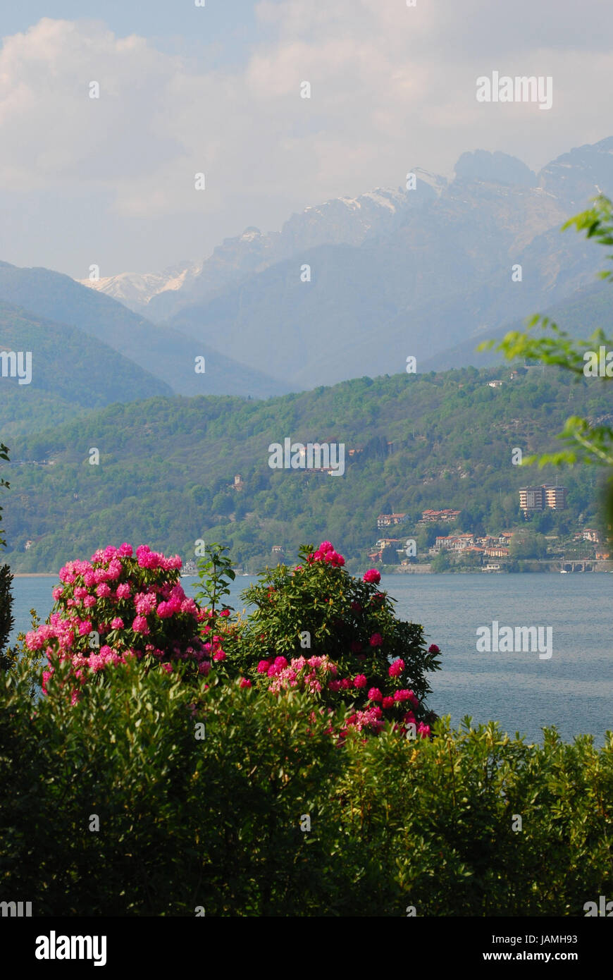 Italy,Piedmont,Lago Maggiore,tropical vegetation Stock Photo - Alamy