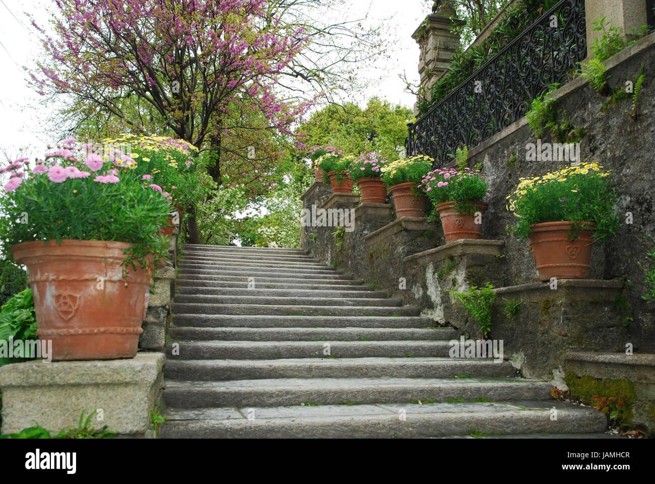 Italy,Piedmont,Isola Bella,stone stairs,floral decoration Stock Photo ...