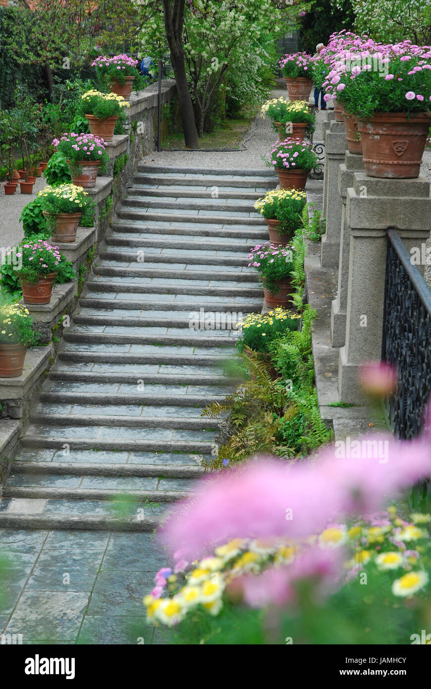 Italy,Piedmont,Isola Bella,stone stairs,floral decoration Stock Photo ...