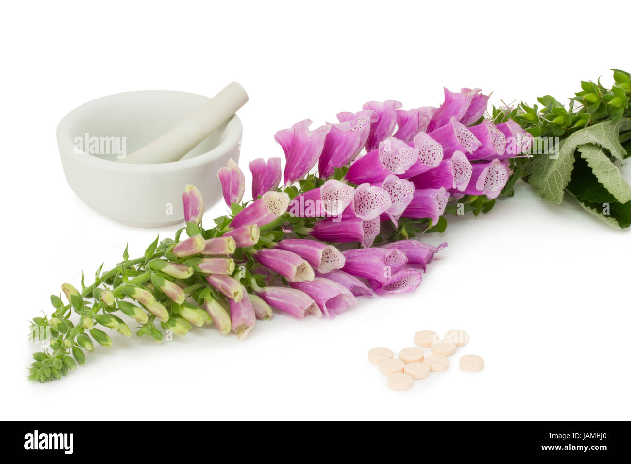 Roter Fingerhut mit Mörser, Stößel und Tabletten vor weißem Hintergrund ...