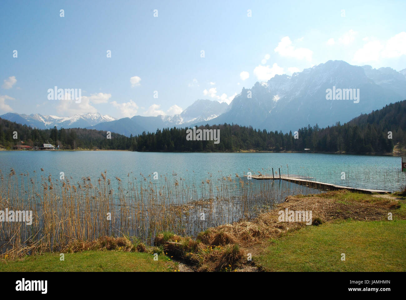 Germany,Bavaria,Mittenwald,loud lake,reed belt,Karwendelgebirge Stock ...