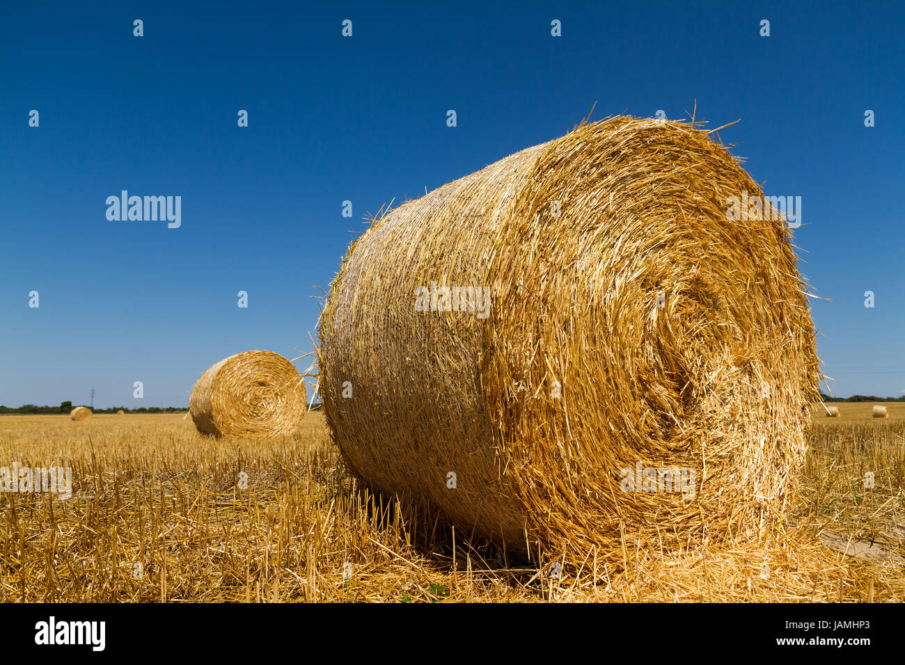 Straw bales in the light of sunset Stock Photo - Alamy