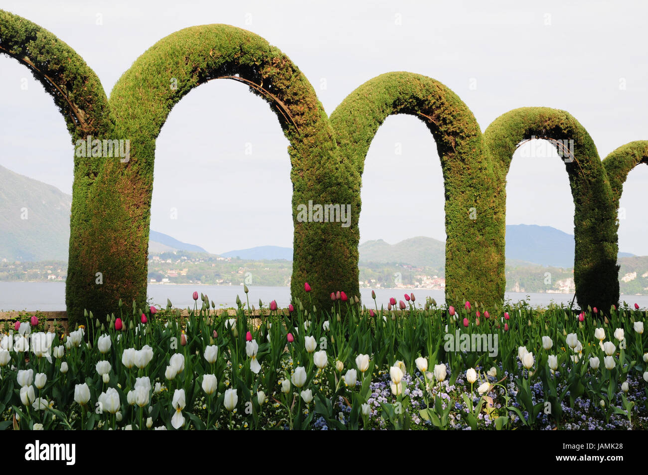 Book bow hi-res stock photography and images - Alamy