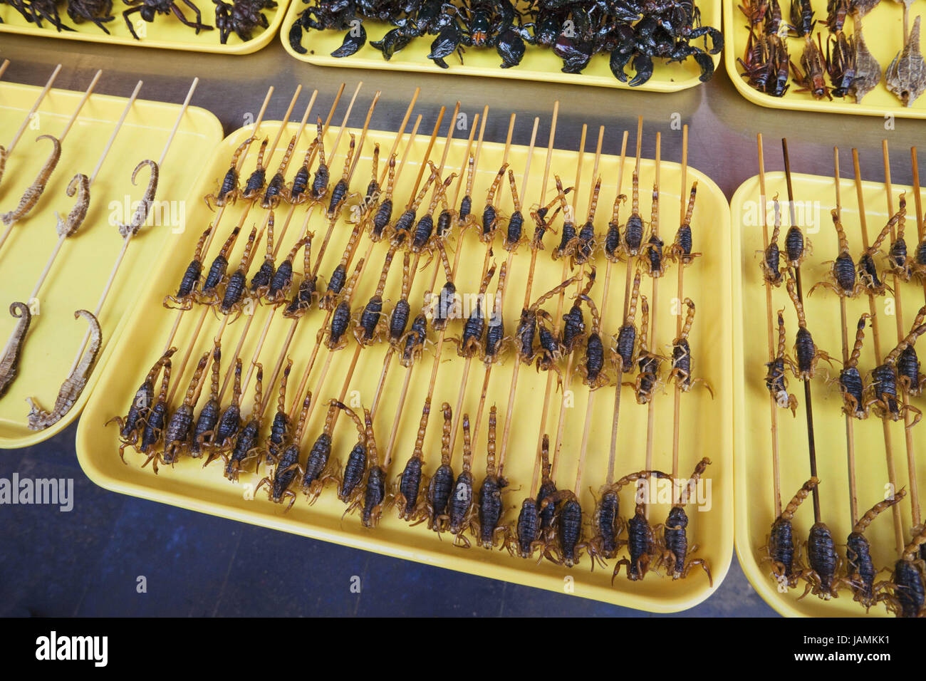 China insects hi-res stock photography and images - Alamy