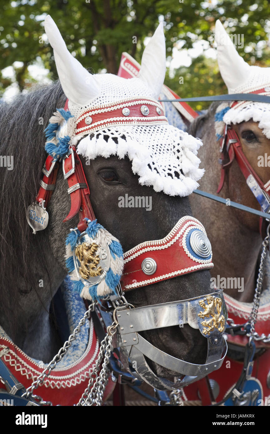 Germany,Bavaria,Munich,October feast,fixed carriage,horse's motorcycle ...